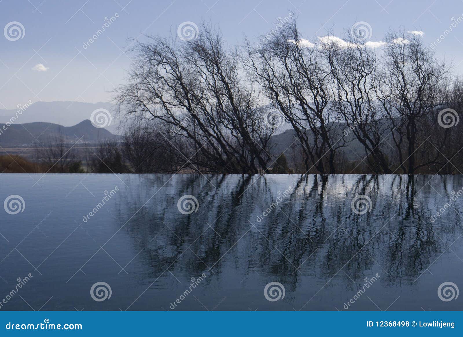 Water reflection of trees stock photo. Image of asia - 12368498