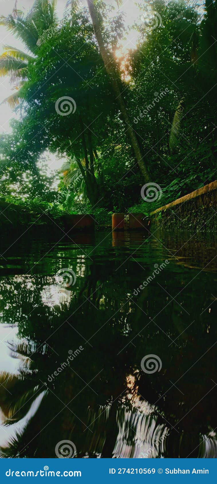 Water Reflection from Trees Stock Image - Image of reflection, nature ...