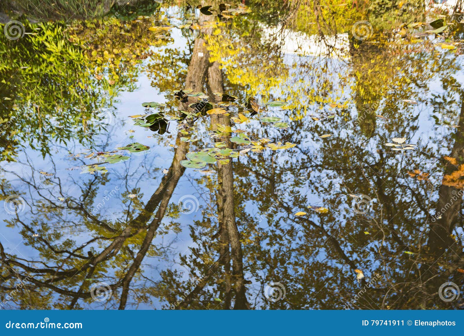 Water Reflection with Trees in Autumn Stock Image - Image of colorful ...