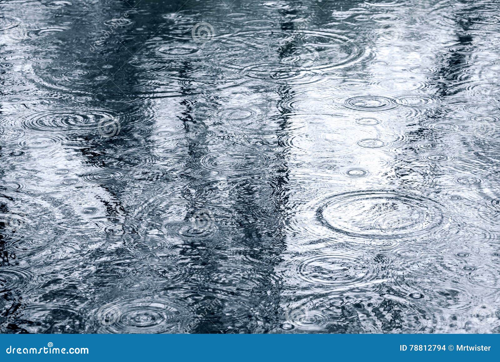 Water Reflection of Trees on Mirror-like Puddle Surface Stock Photo ...