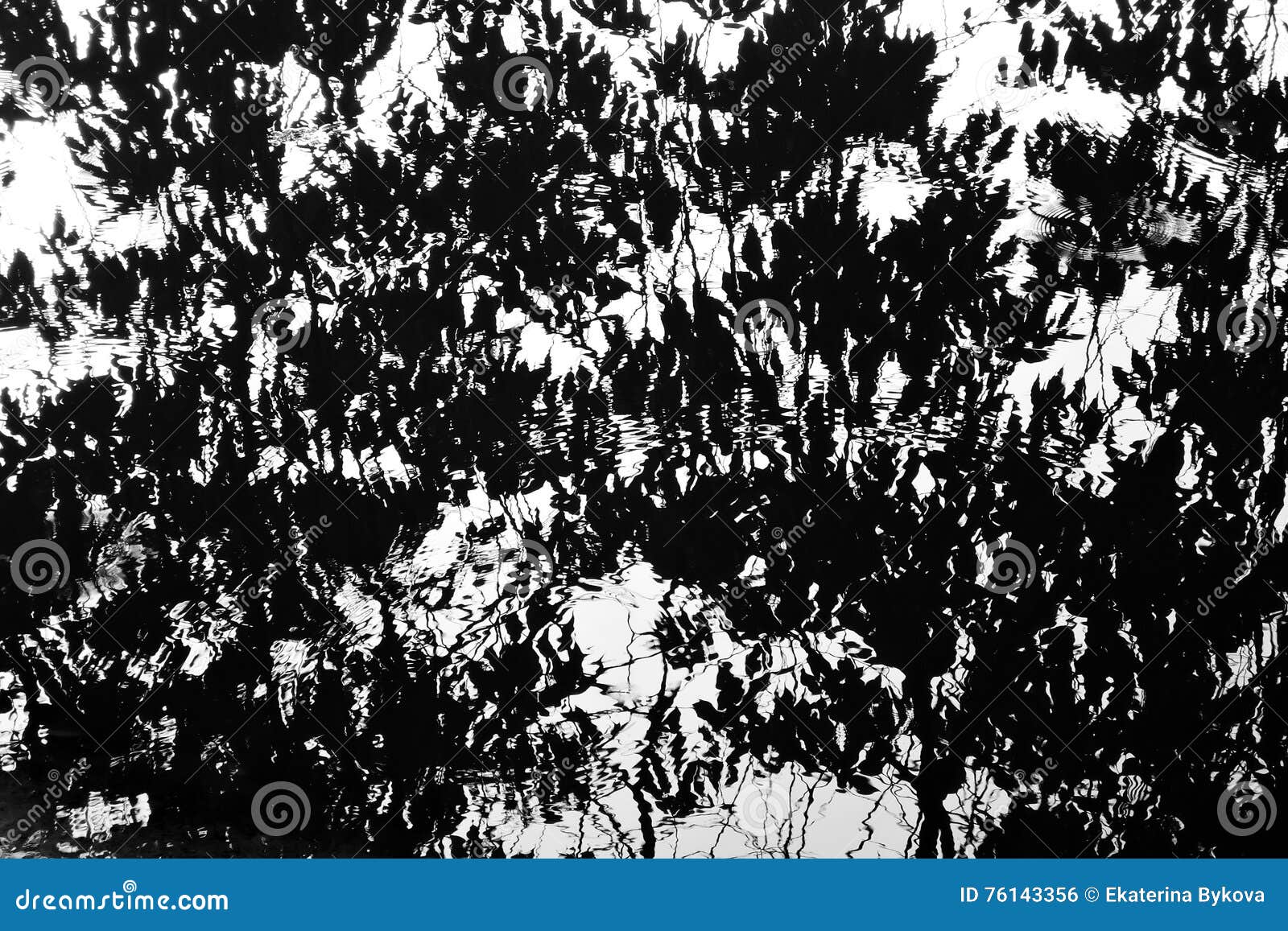 Water Reflection of Trees in a Pond. Stock Photo - Image of concept ...