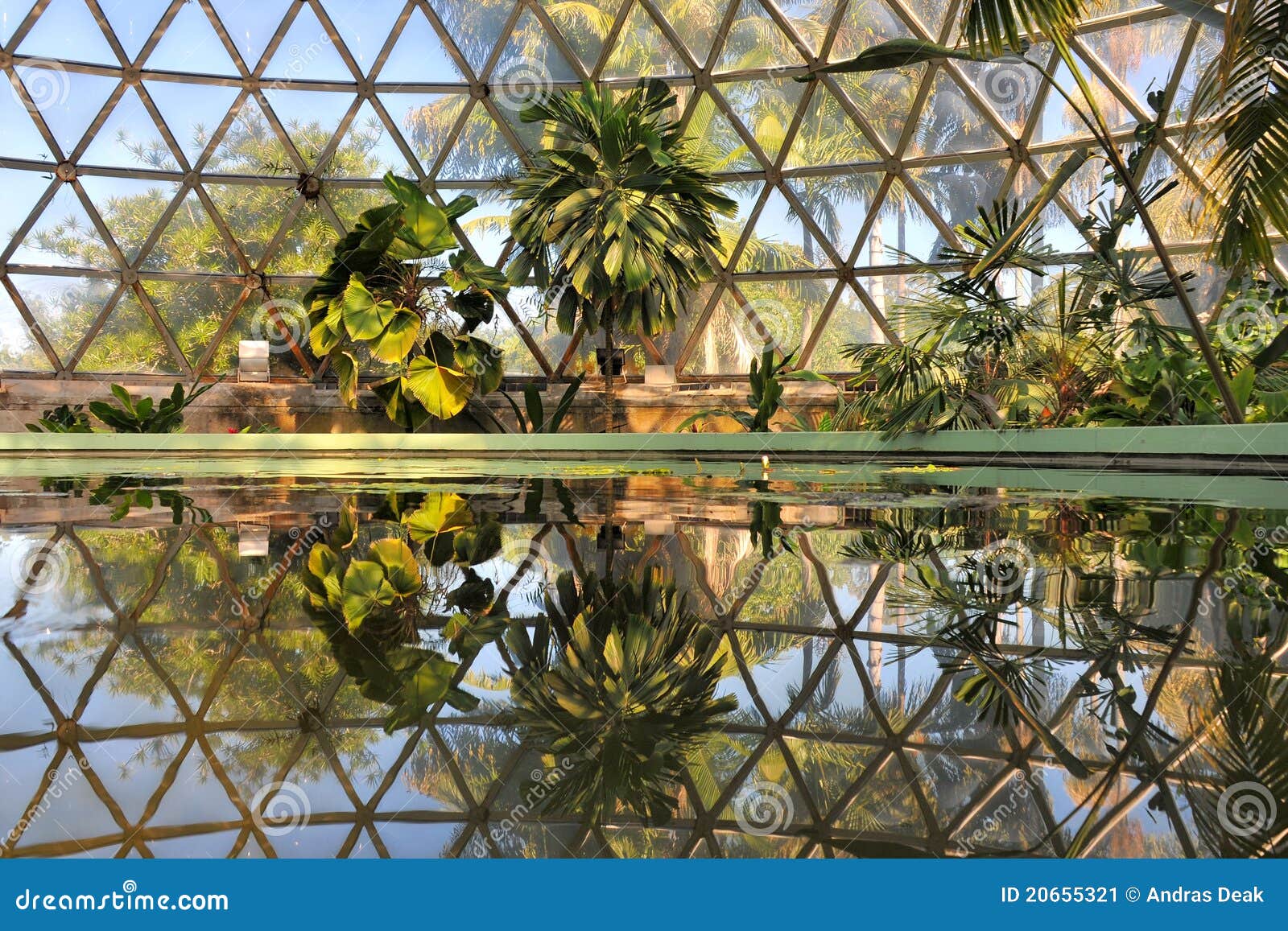 Water Reflection in the Tropical Dome Stock Image - Image of queensland ...
