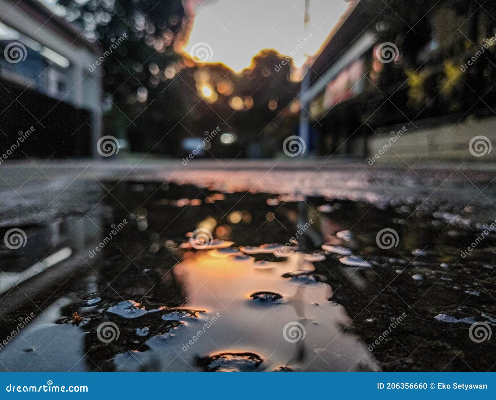 Twilight Puddle On The Asphalt Rain Reflection Of Light In The Waves ...