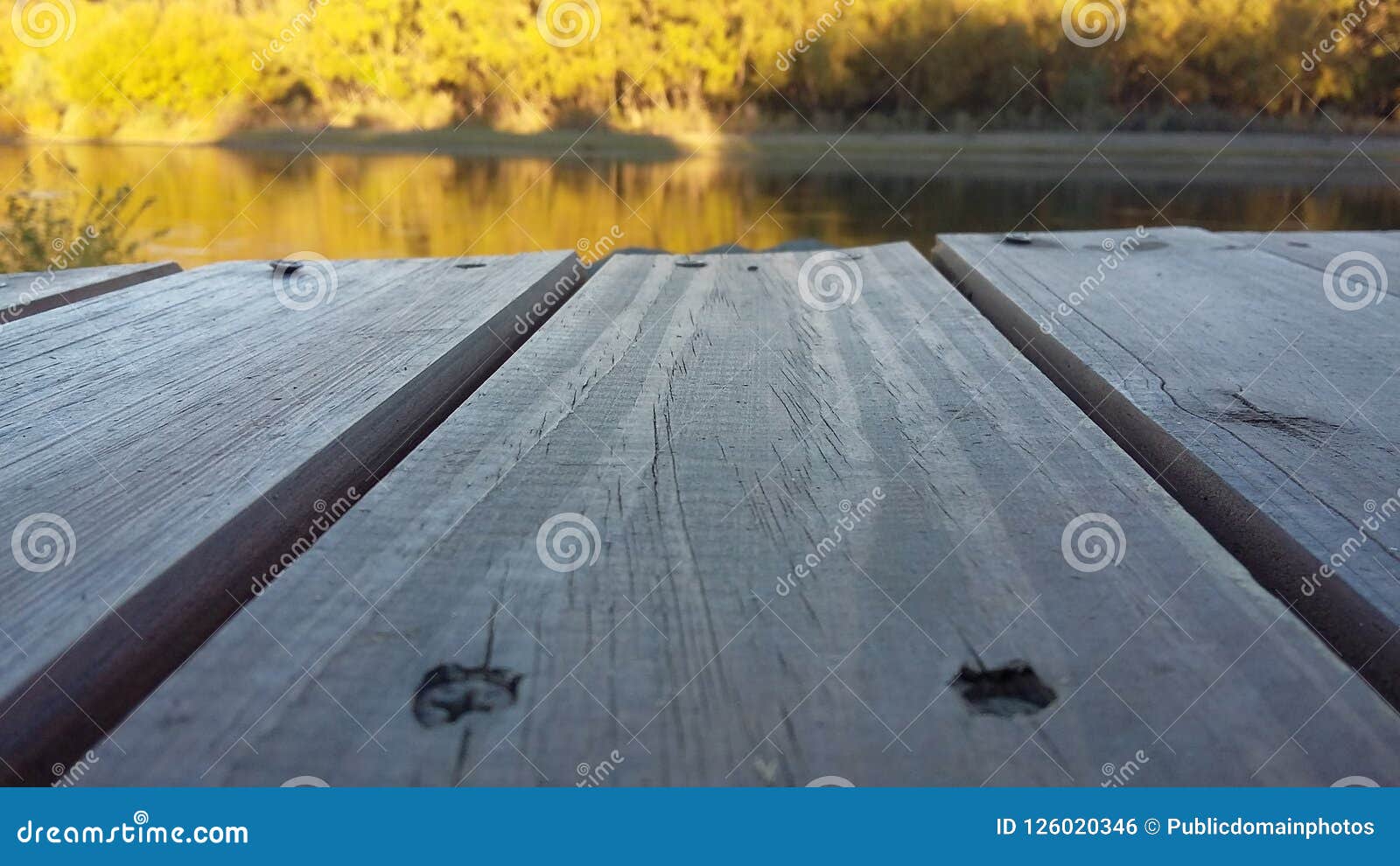 Water, Reflection, Wood, Morning Picture. Image: 126020346