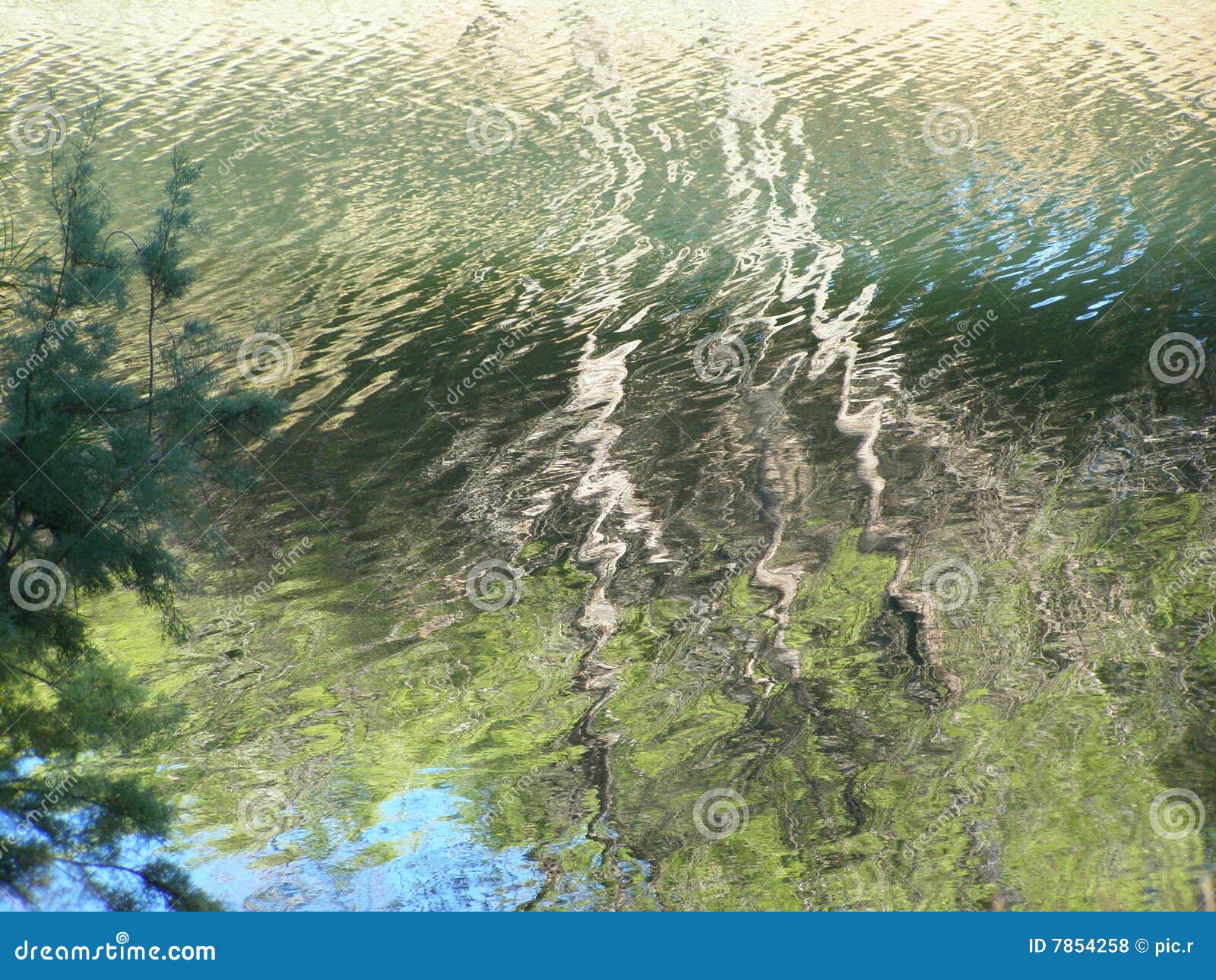 Water reflections stock photo. Image of trees, abstraction - 7854258