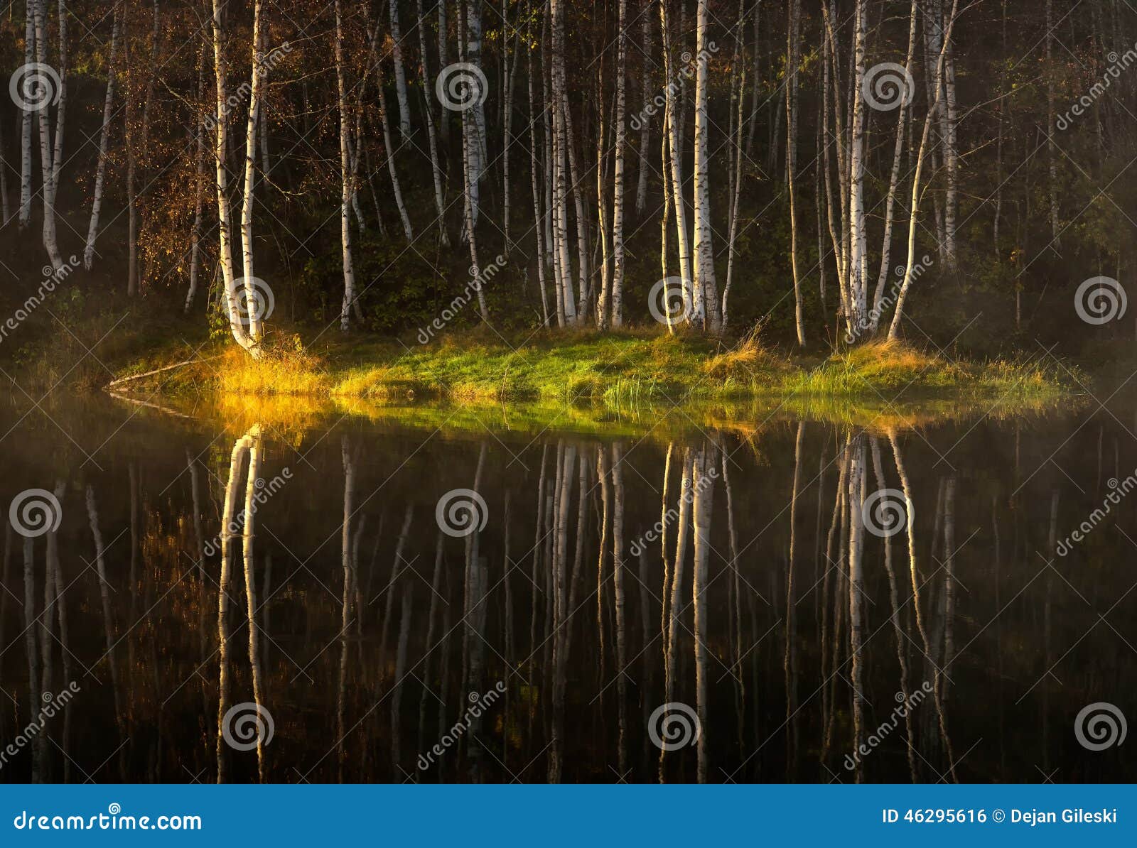 Water Reflections of Autumn Birch Stock Photo - Image of river ...