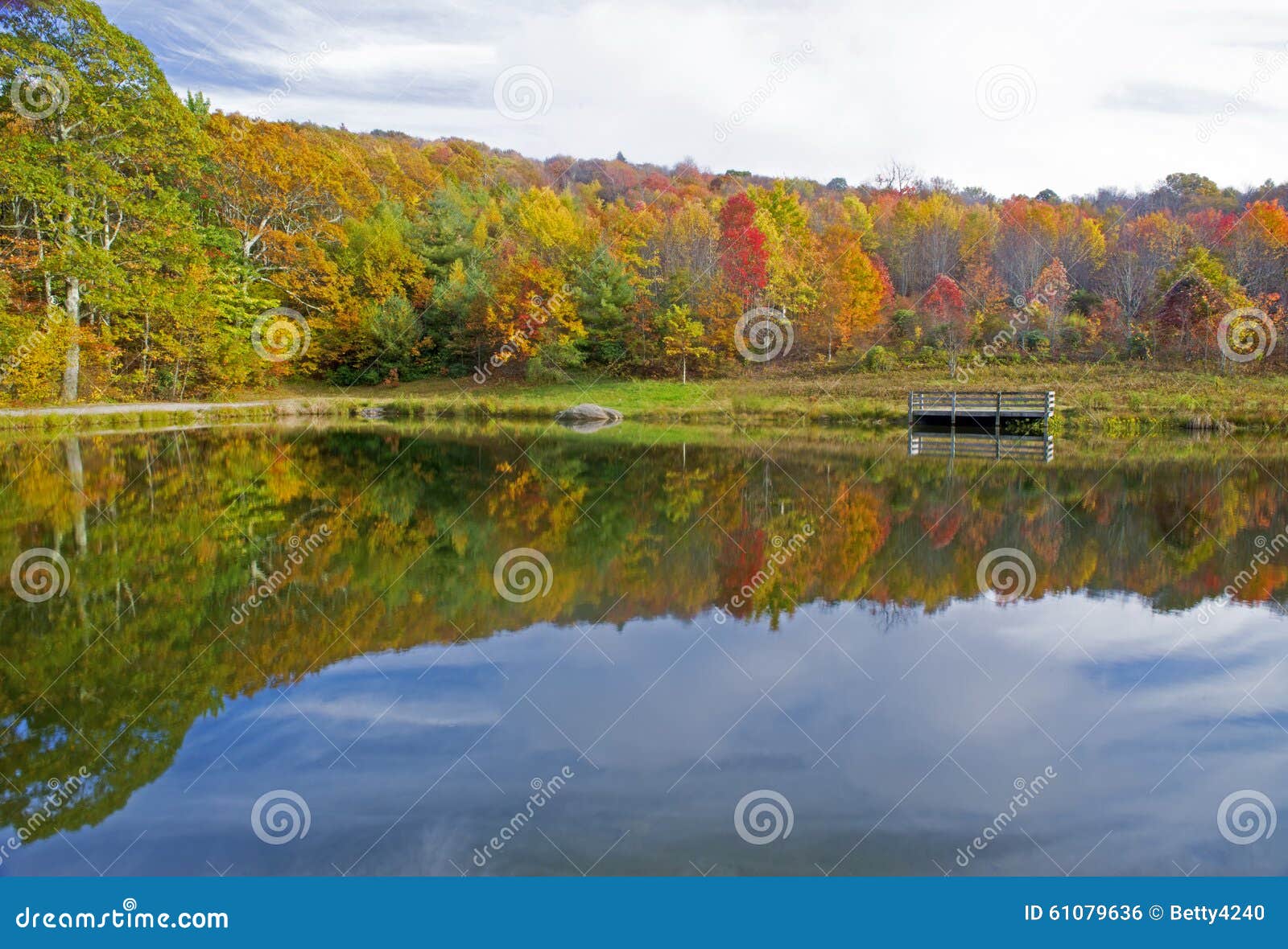 Water Reflections in Small Pond in Fall. Stock Photo - Image of colored ...