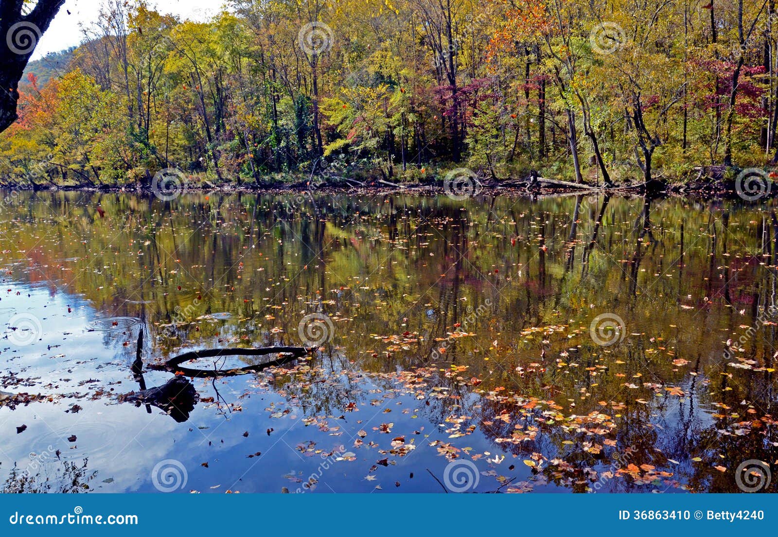 Water Reflections on a Still River in Fall. Stock Photo - Image of ...