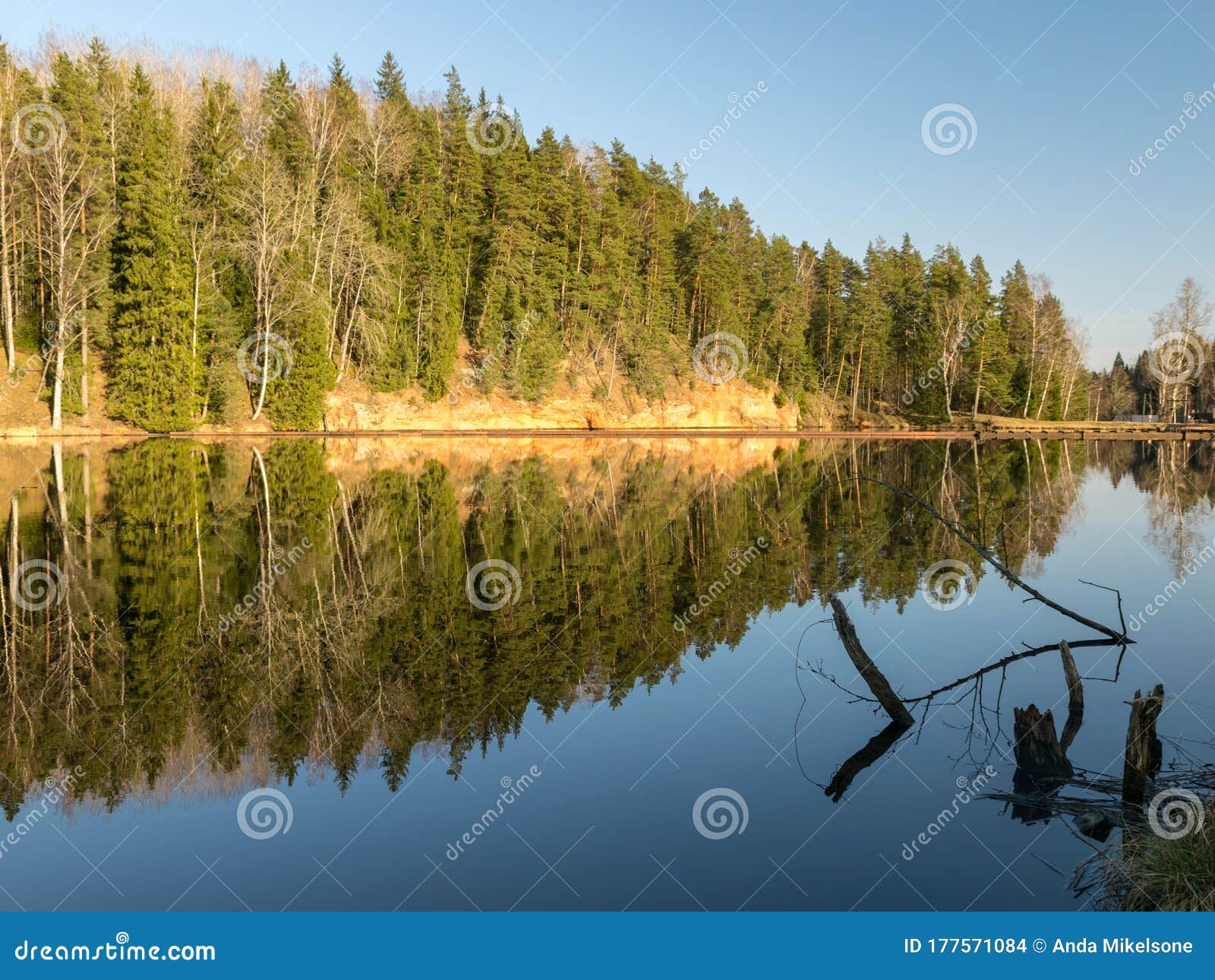 Water Reflections of Trees, Early Spring Landscape, with Reflection on ...