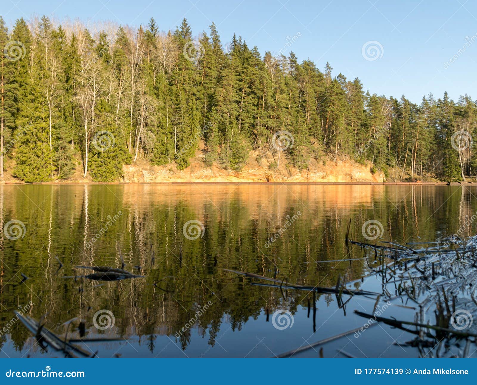 Water Reflections of Trees, Early Spring Landscape, with Reflection on ...