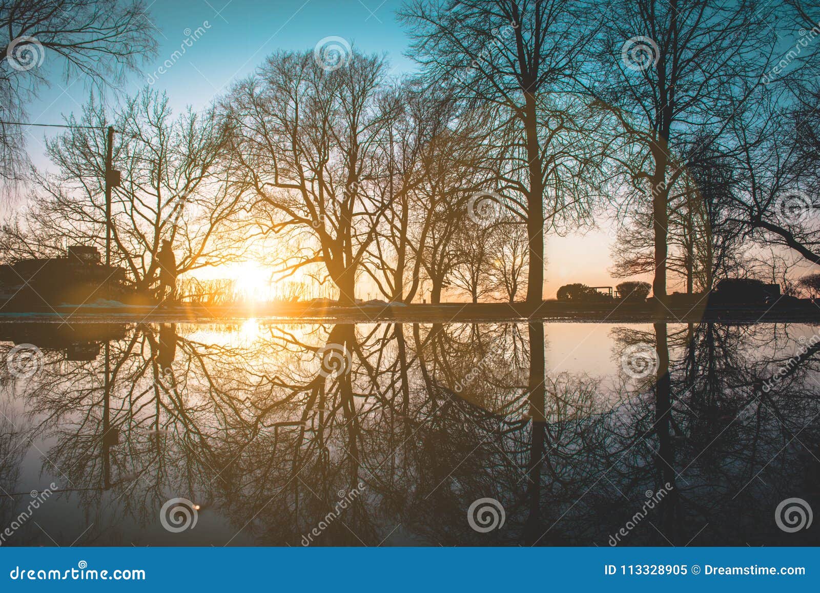 Water Reflection of Leafless Trees and Sunset Stock Image - Image of ...