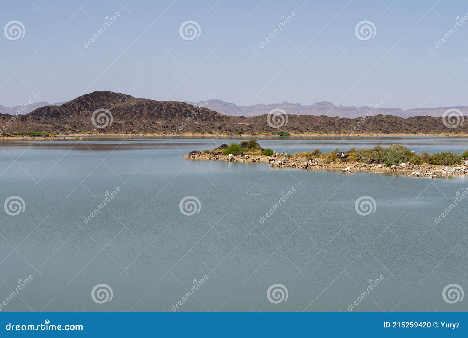 Water reserve in Namibia stock photo. Image of resource - 215259420