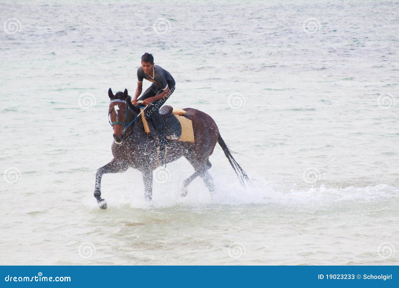 Water riding editorial stock photo. Image of mauritius - 19023233