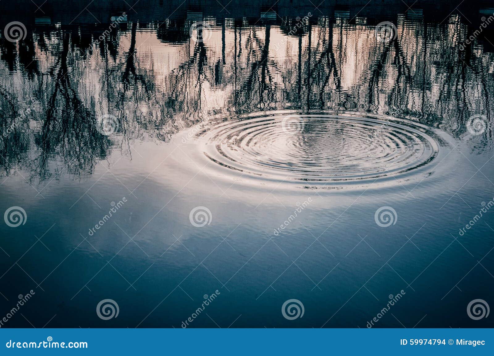 Water rings on forest lake stock photo. Image of abstract - 59974794