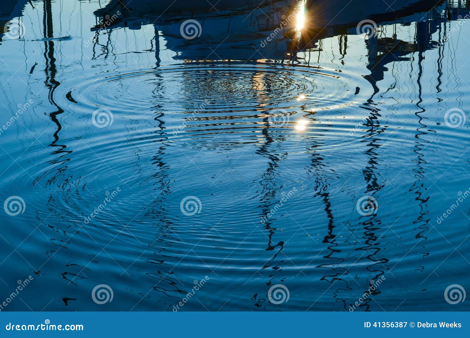 Water Rings from Jumping Fish Stock Image - Image of fish, travel: 41356387