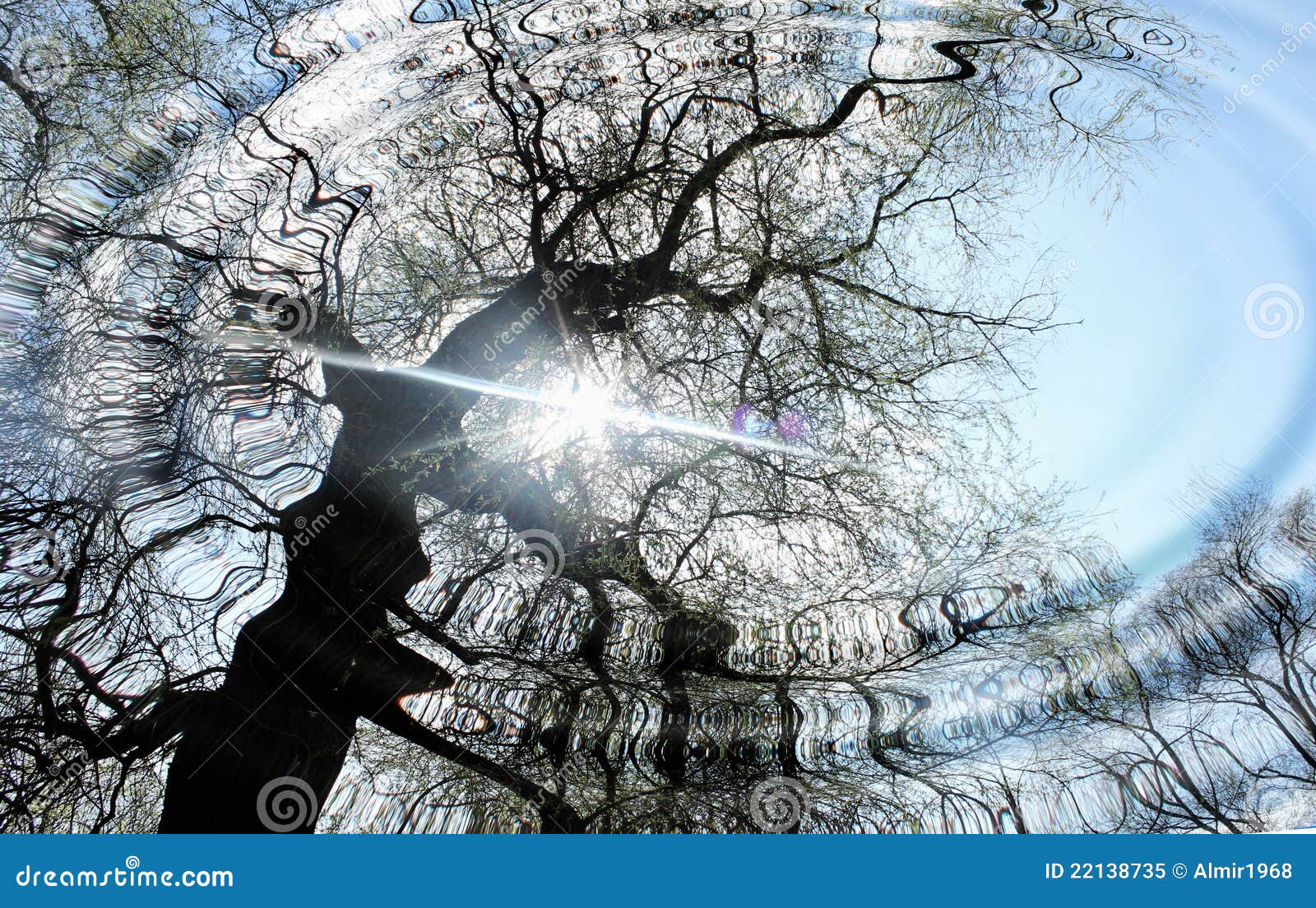 Water ripple in forest stock image. Image of shiny, closeup - 22138735