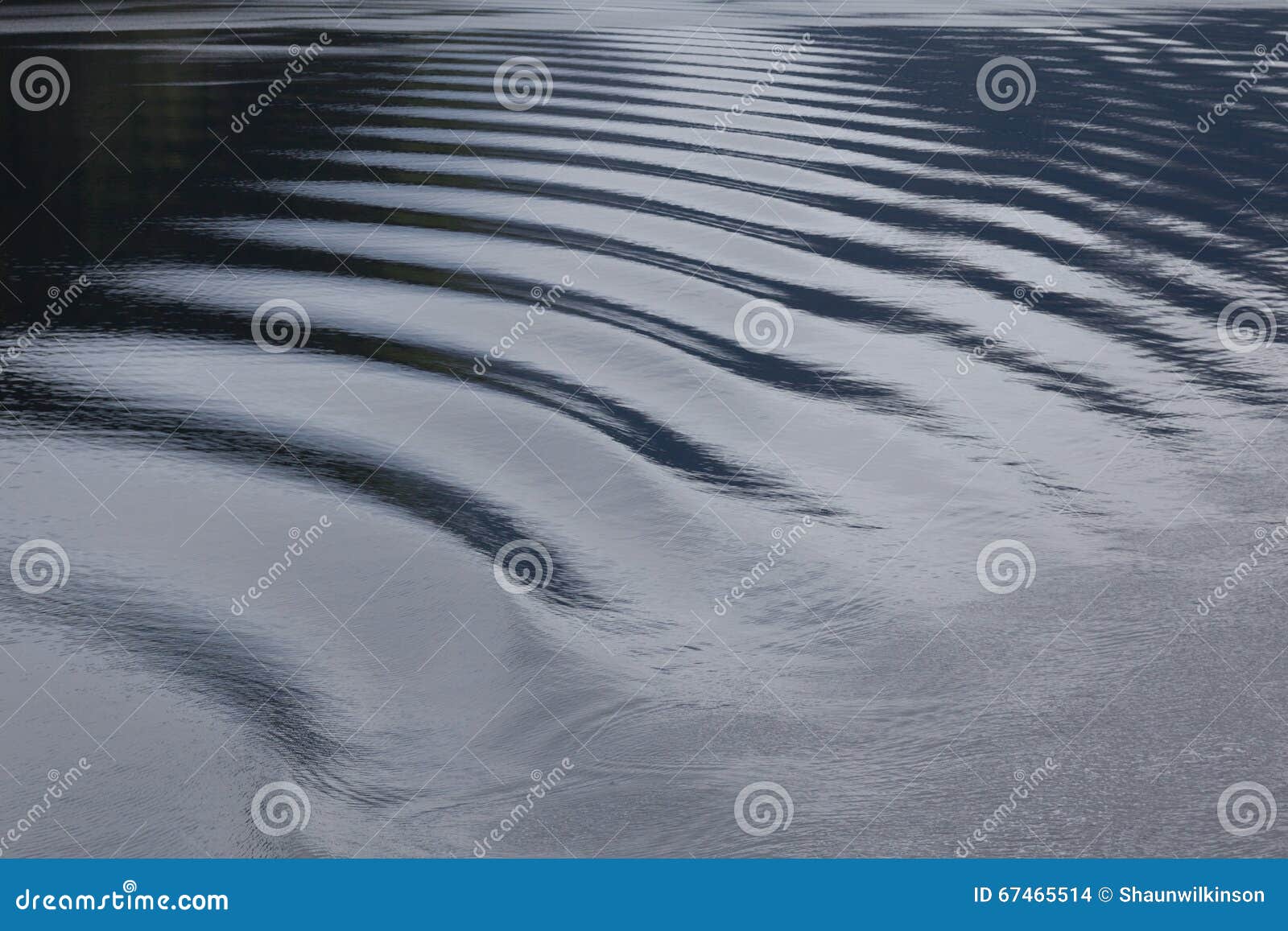 Water ripple stock photo. Image of purity, light, reflection - 67465514