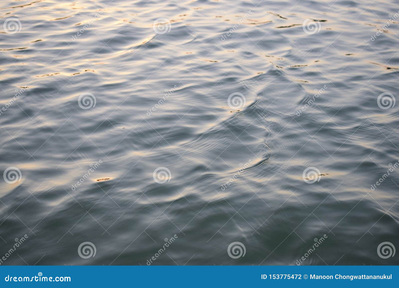 Water Ripple on Lake Surface Stock Photo - Image of freshness ...