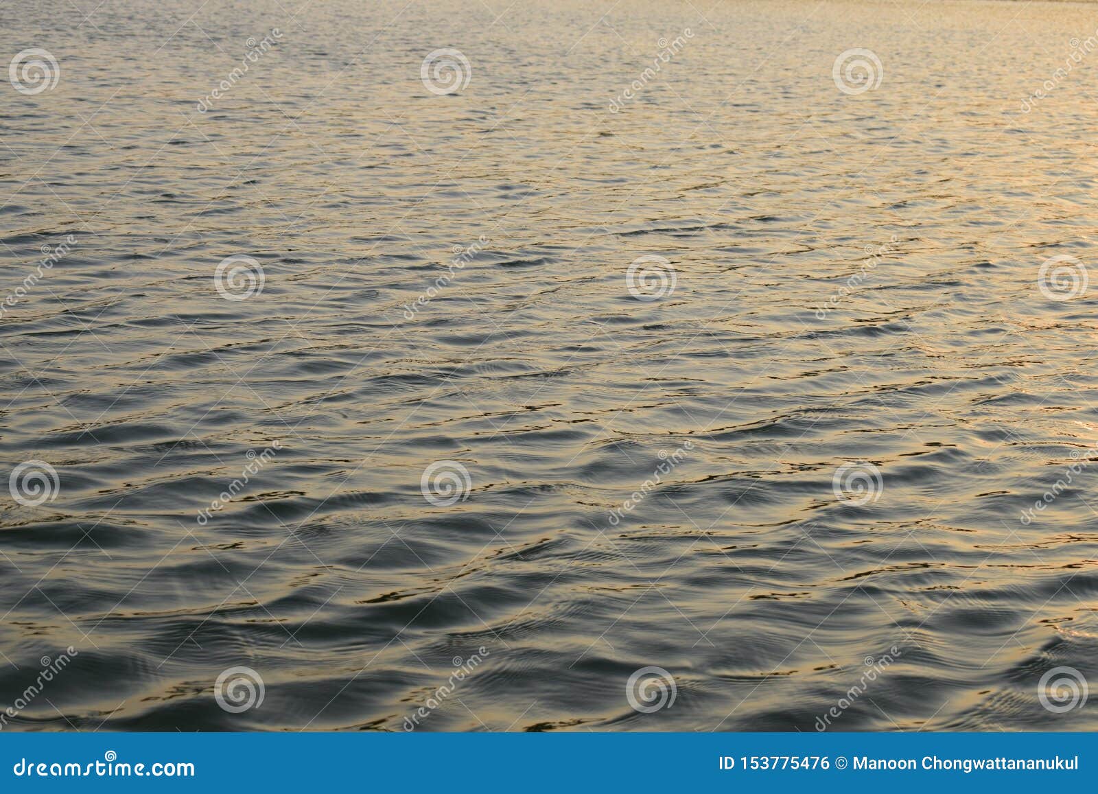 Water Ripple on Lake Surface Stock Photo - Image of nature, fresh ...
