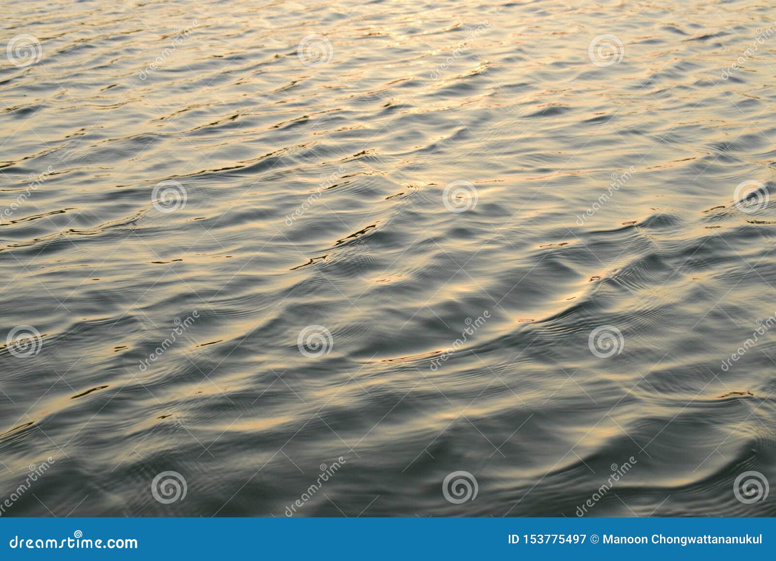 Water Ripple on Lake Surface Stock Image - Image of liquid, ecology ...