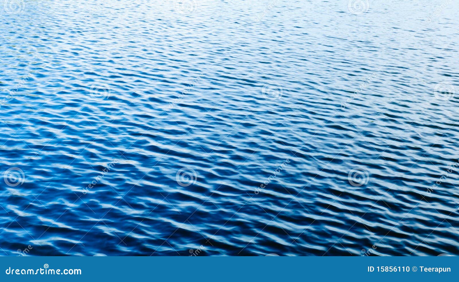 Water ripple at a pond stock photo. Image of aquatic - 15856110