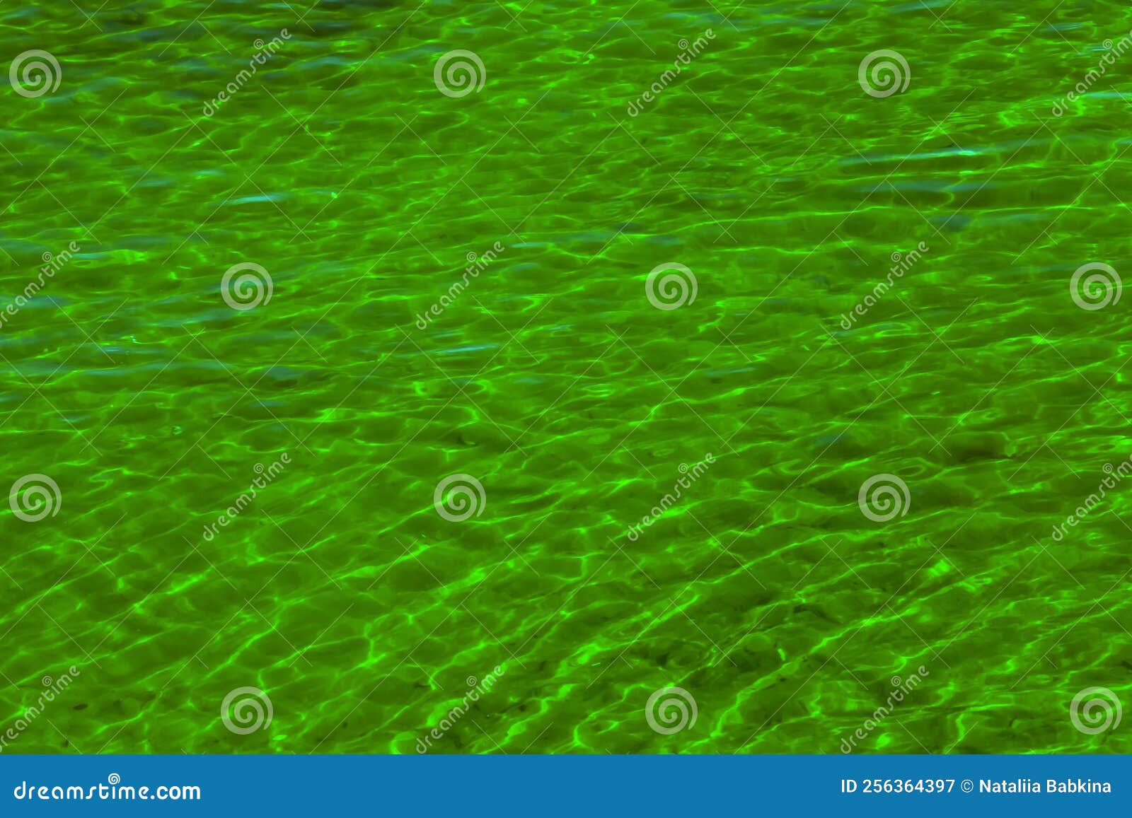 Water Ripple Texture Background. Wavy Water Surface. Reflections From ...