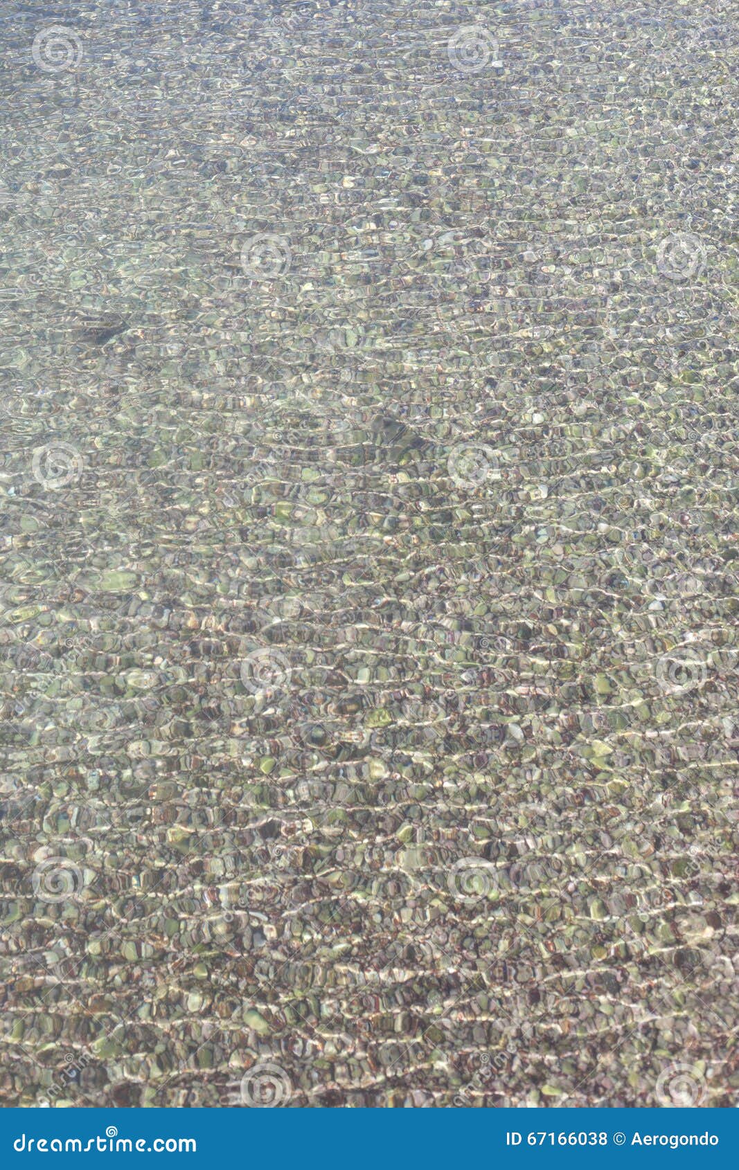 Water Ripple Texture