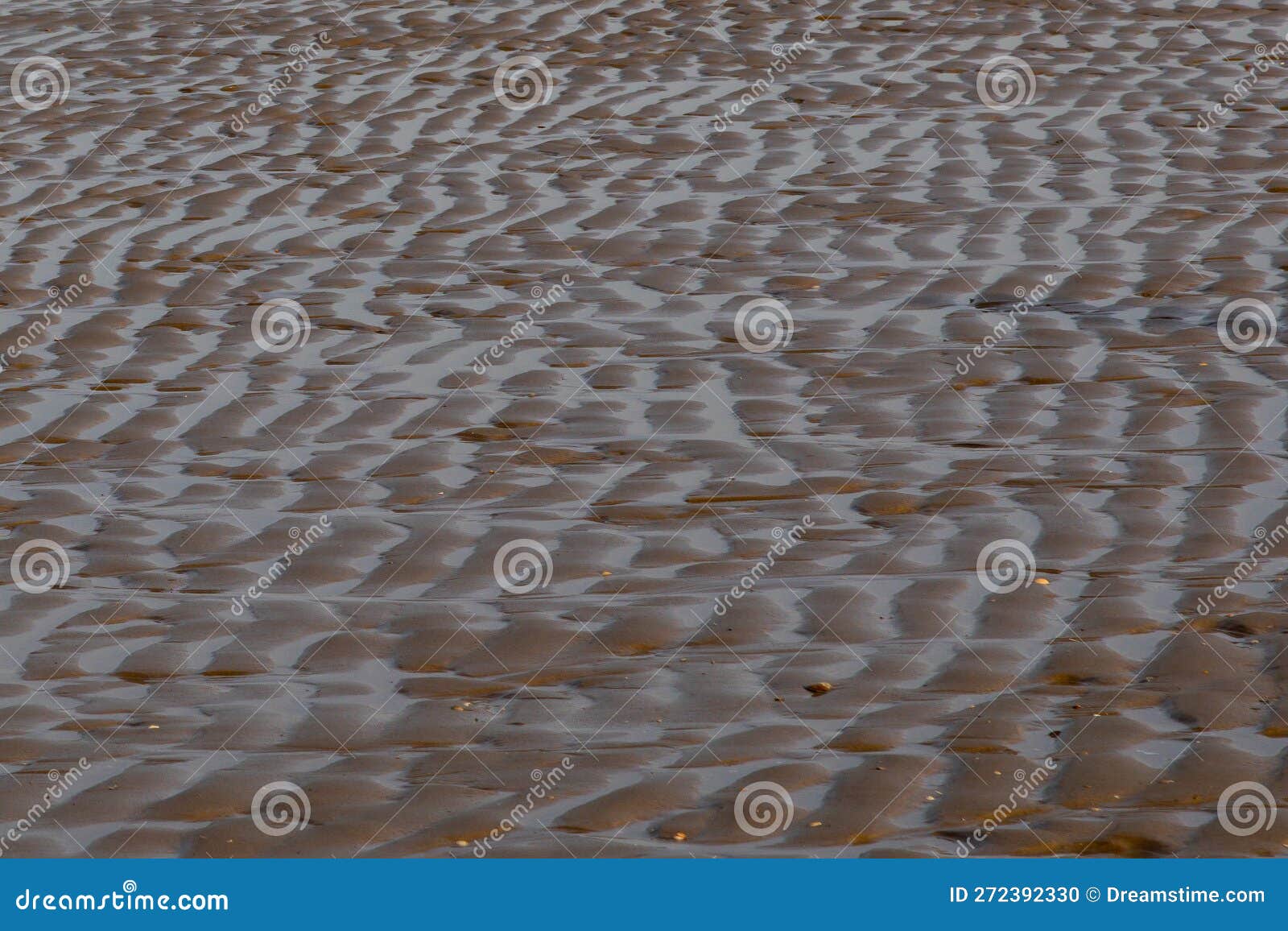 Water on Rippled Sand on a Beach Stock Photo - Image of pattern, calm ...
