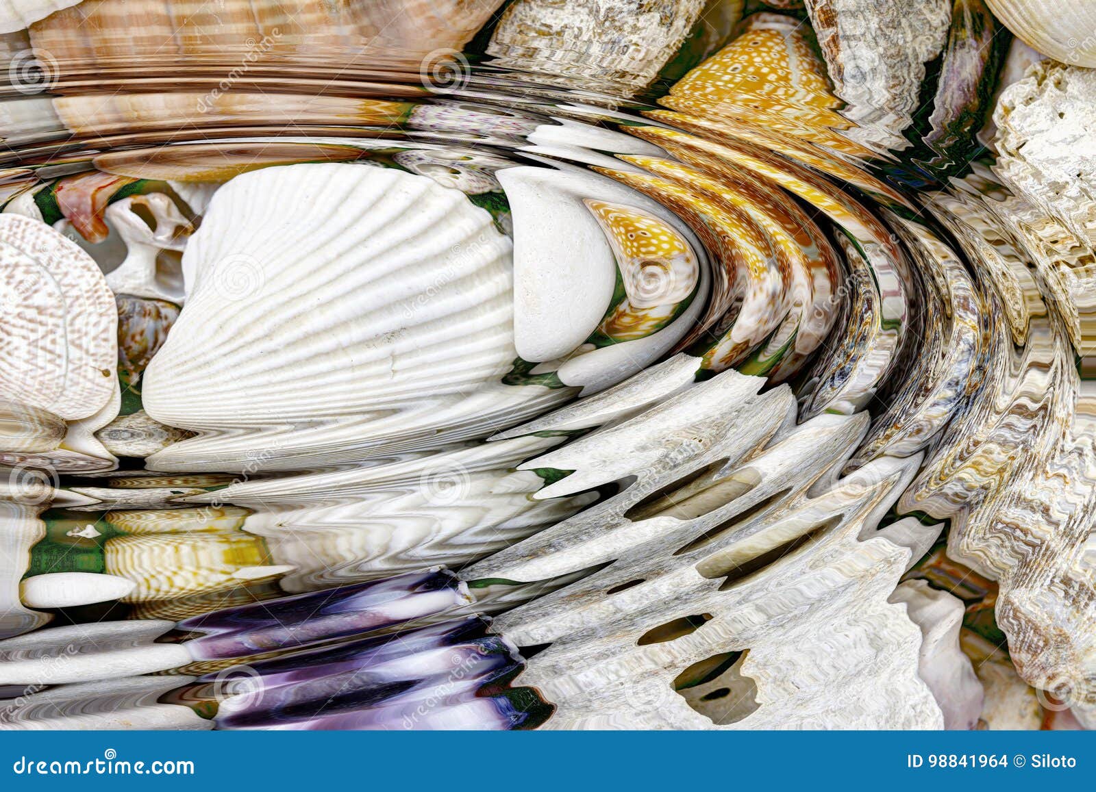 Water Ripples Above Sea Shells Stock Photo - Image of colored, macro ...