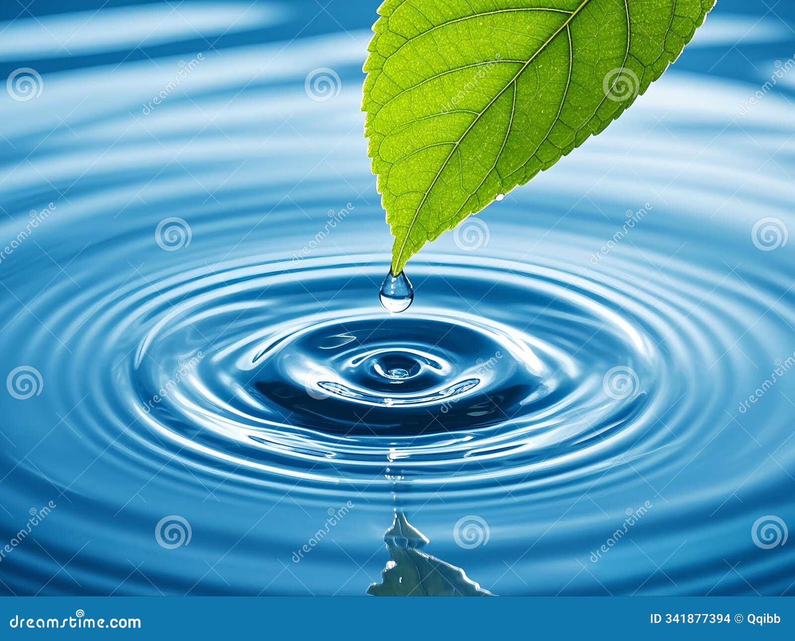 Water Ripples Caused By A Drop Of Water Falling From A Green Leaf And ...