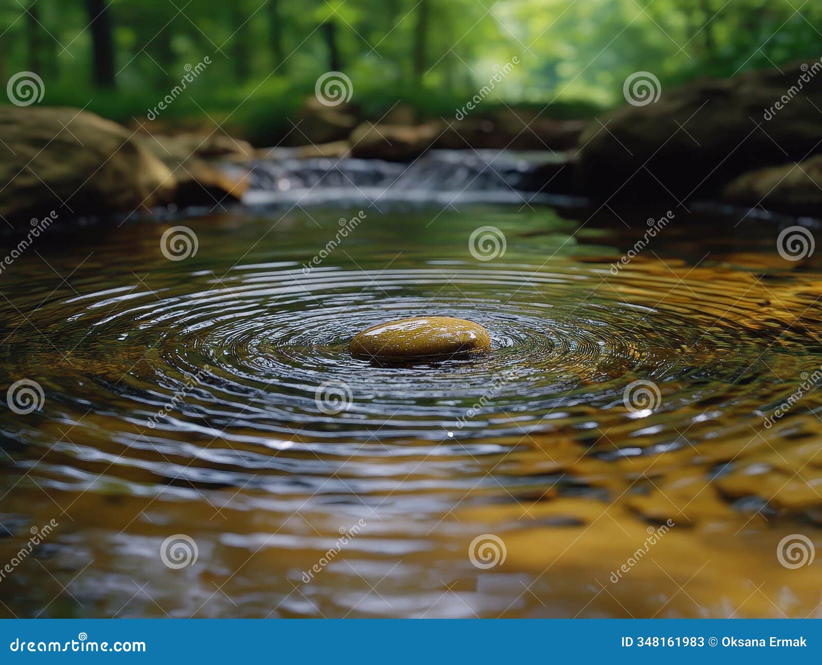 Water Ripples, Concentric Circles, Stone Dropped in Water, Physics of ...