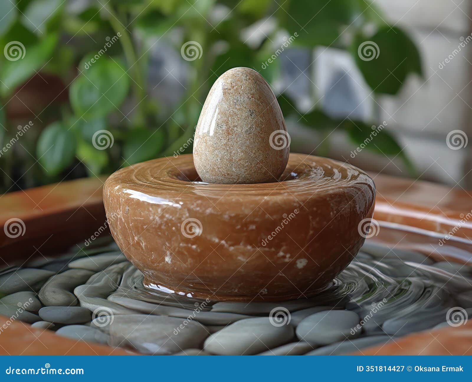 Water Ripples, Concentric Circles, Stone Dropped in Water, Physics of ...