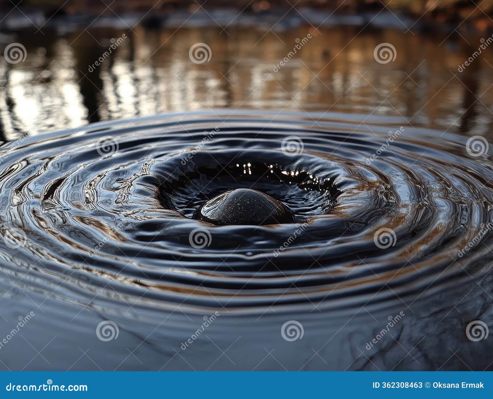 Water Ripples, Concentric Circles, Stone Dropped in Water, Physics of ...