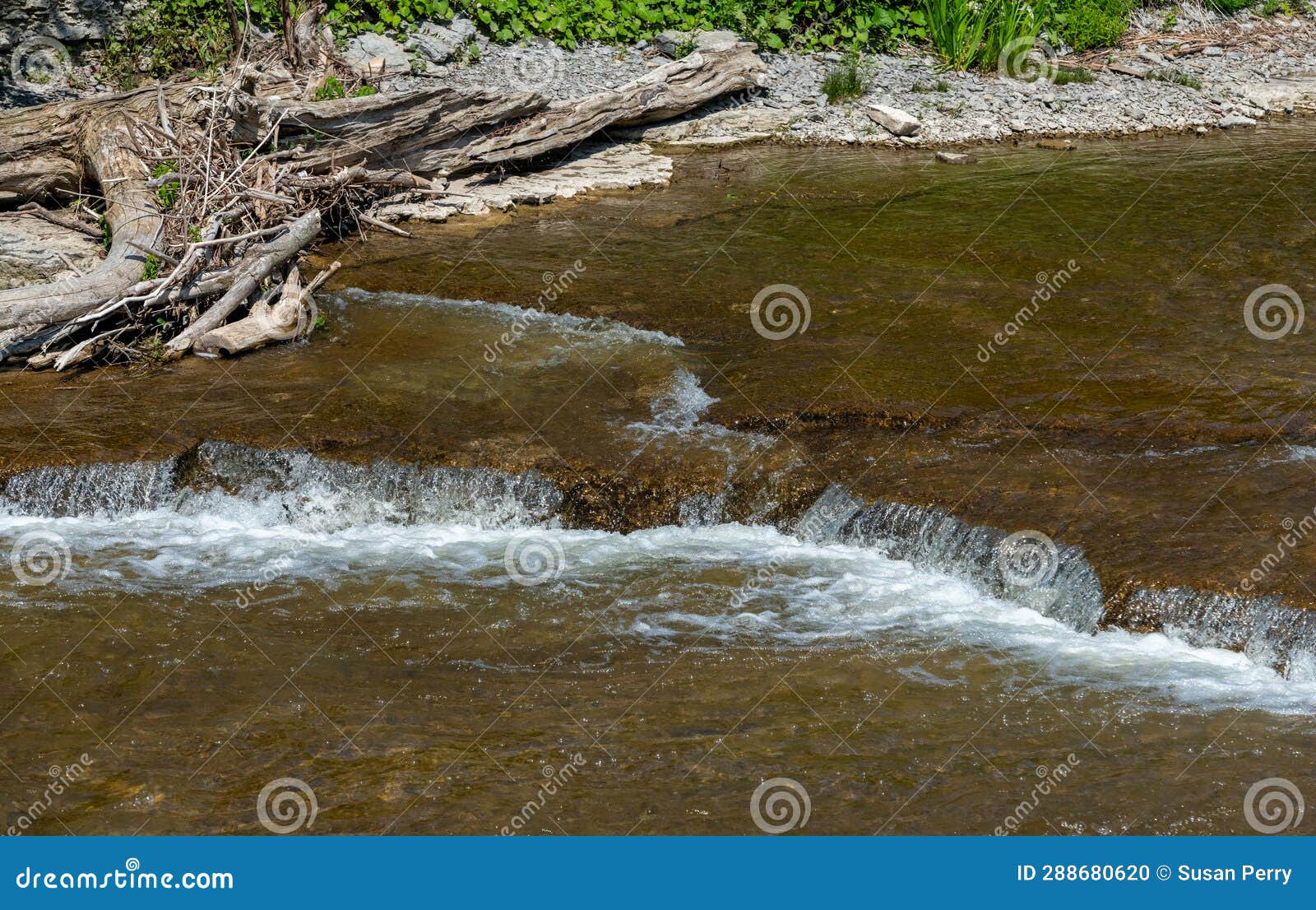 Water Ripples in the Creek, River Stock Photo - Image of tree, creek ...