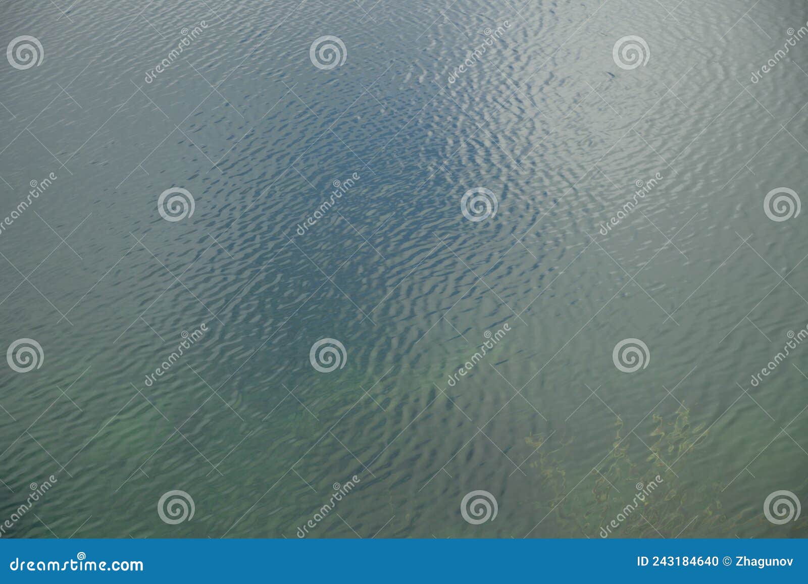 Water ripples on the lake stock photo. Image of ripple - 243184640