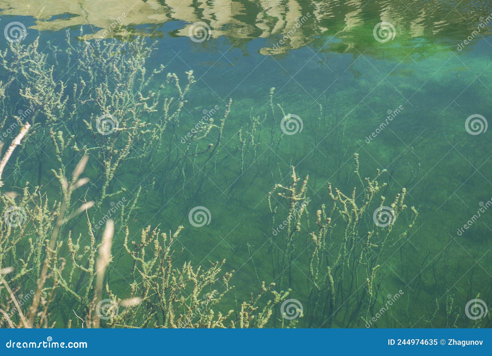 Water ripples on the lake stock image. Image of lake - 244974635