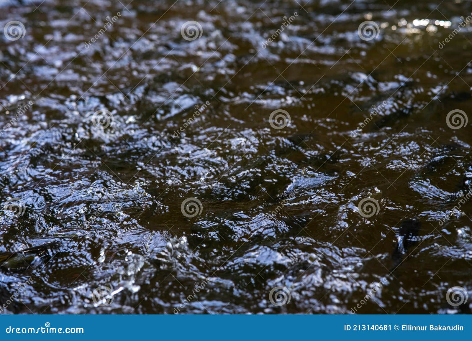 Water Ripples with Lots of Fish Underneath the Crystal Clear River ...