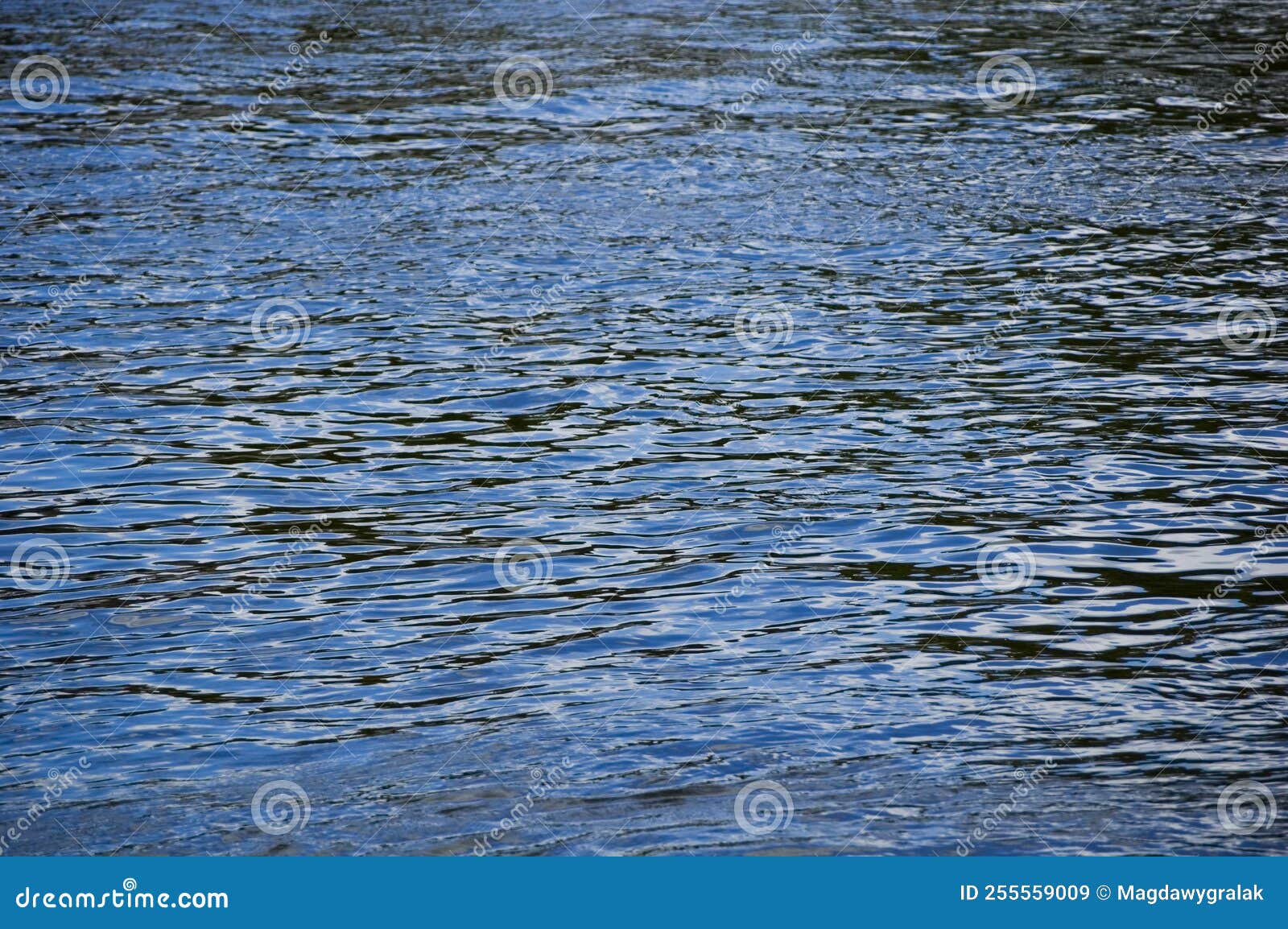 Water Ripples on the River Surface. Stock Image - Image of rain ...