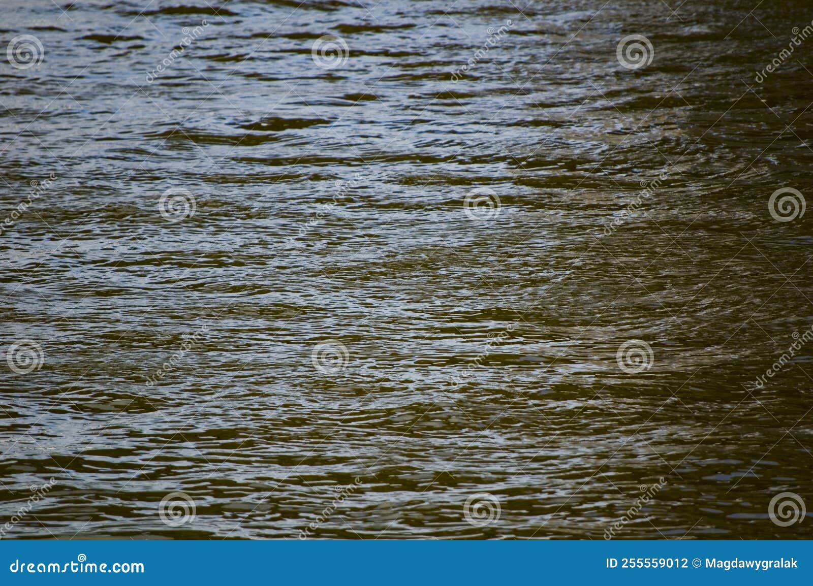 Water Ripples on the River Surface Stock Photo - Image of glittering ...