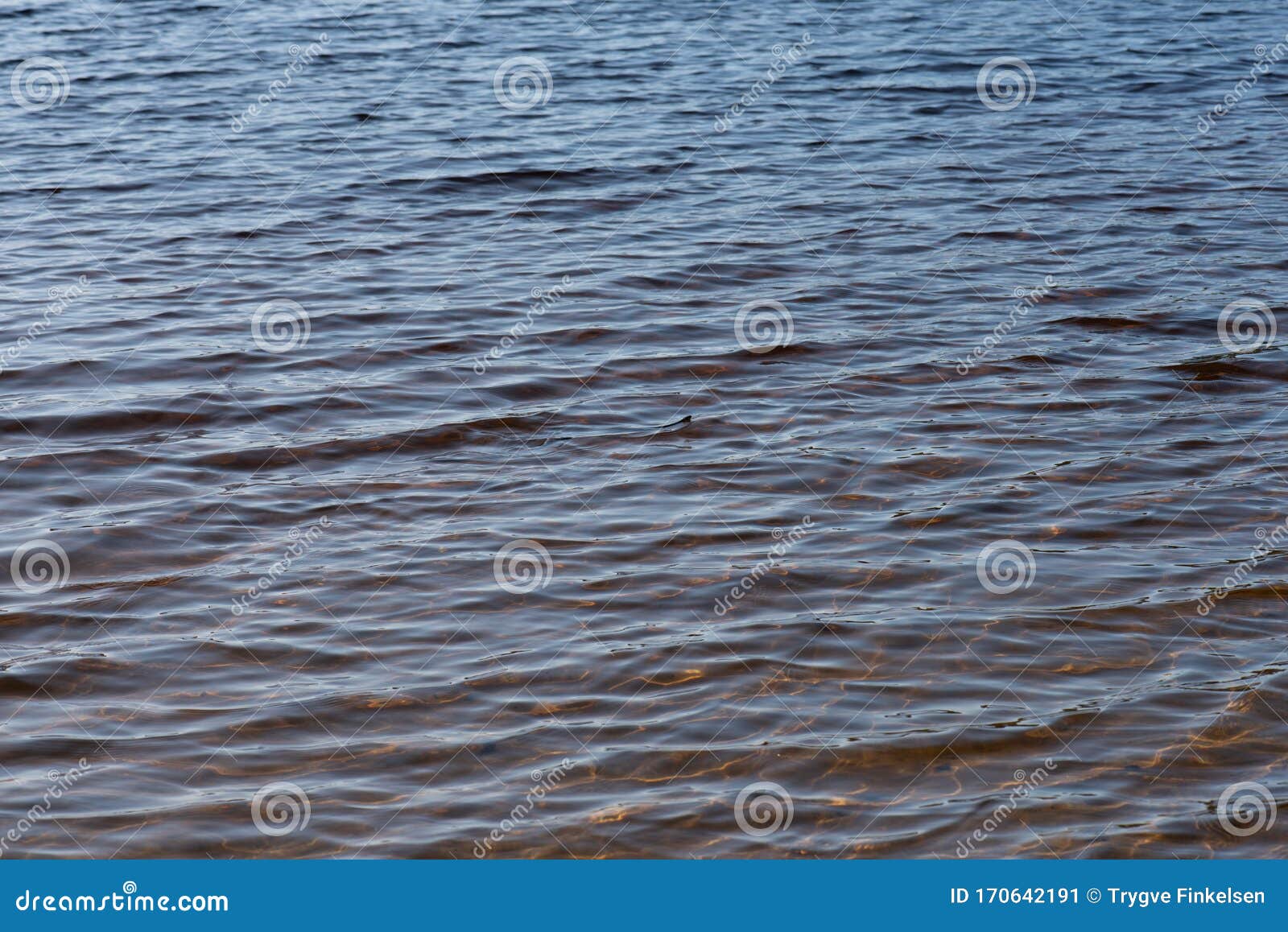 ?Water Ripples on a Small Lake Stock Image - Image of color, beauty ...