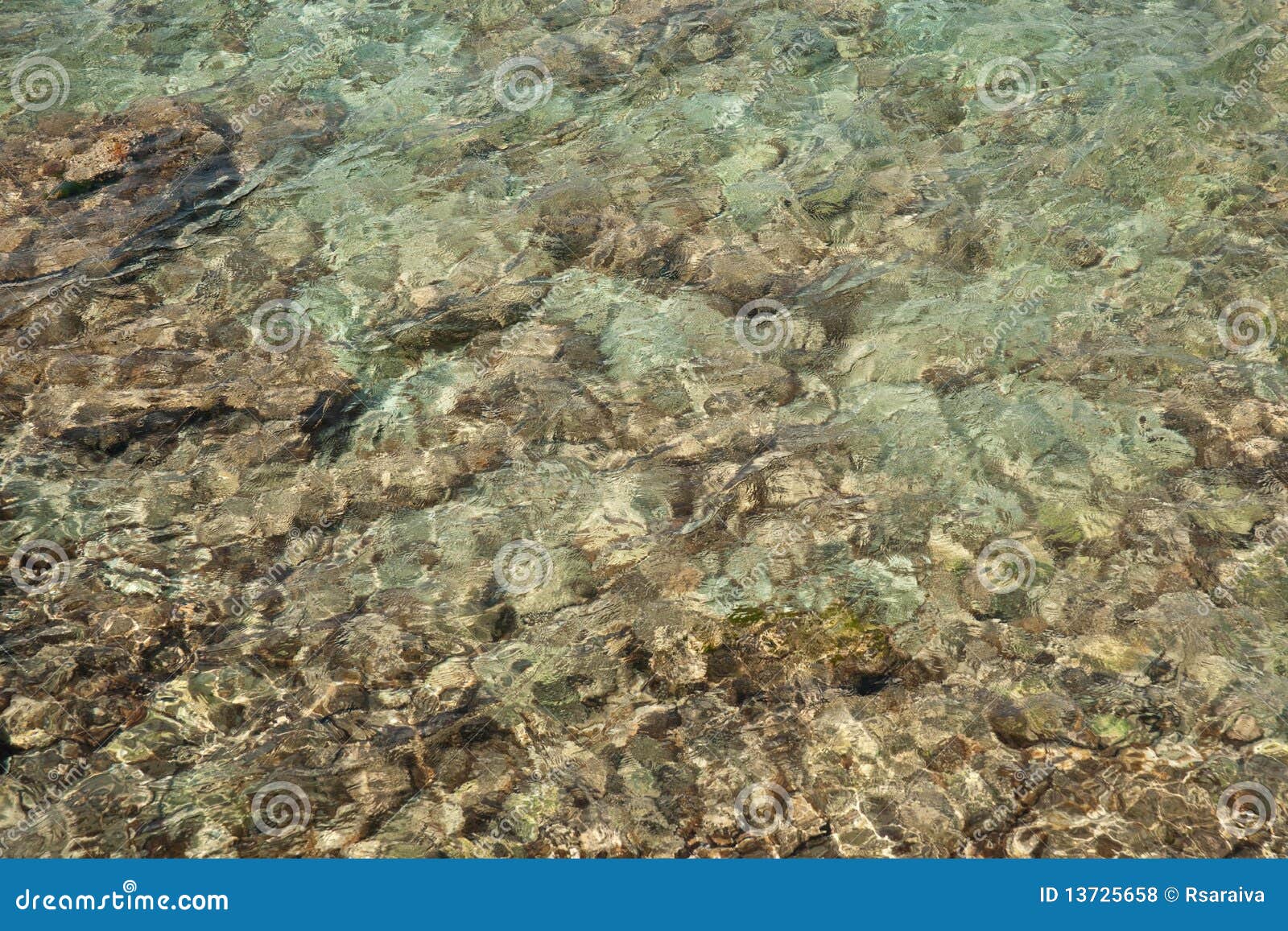 Water ripples and stones stock photo. Image of abstract - 13725658