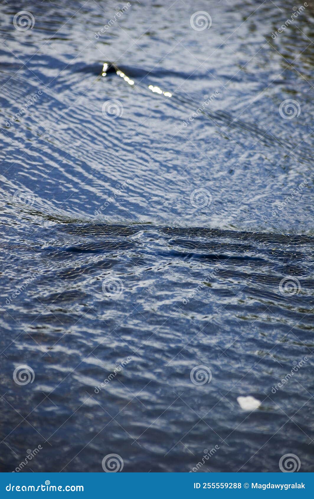 Water Ripples on the Stream Surface. Stock Photo - Image of colours ...