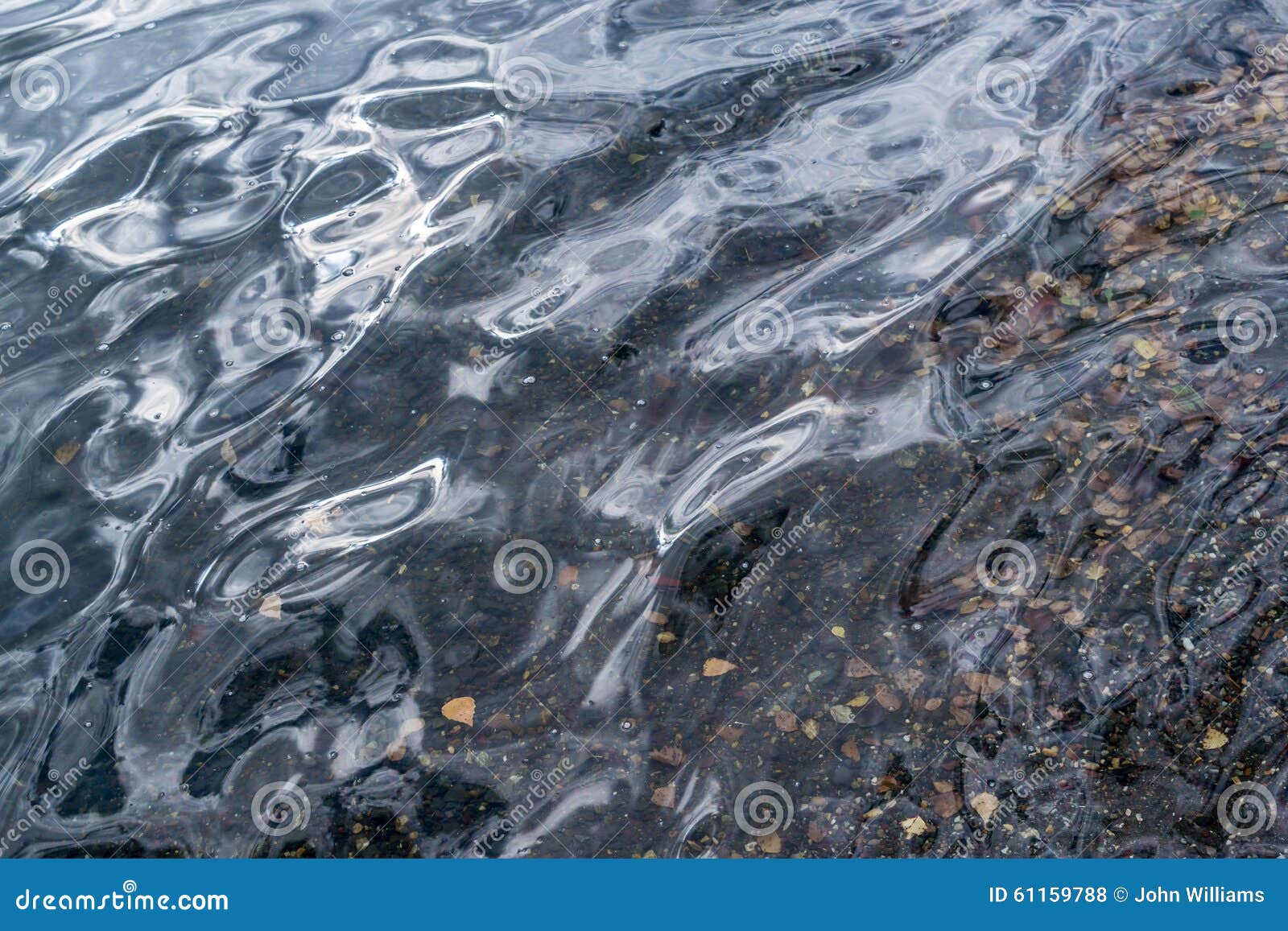 Water ripples on Surface stock photo. Image of rippled - 61159788