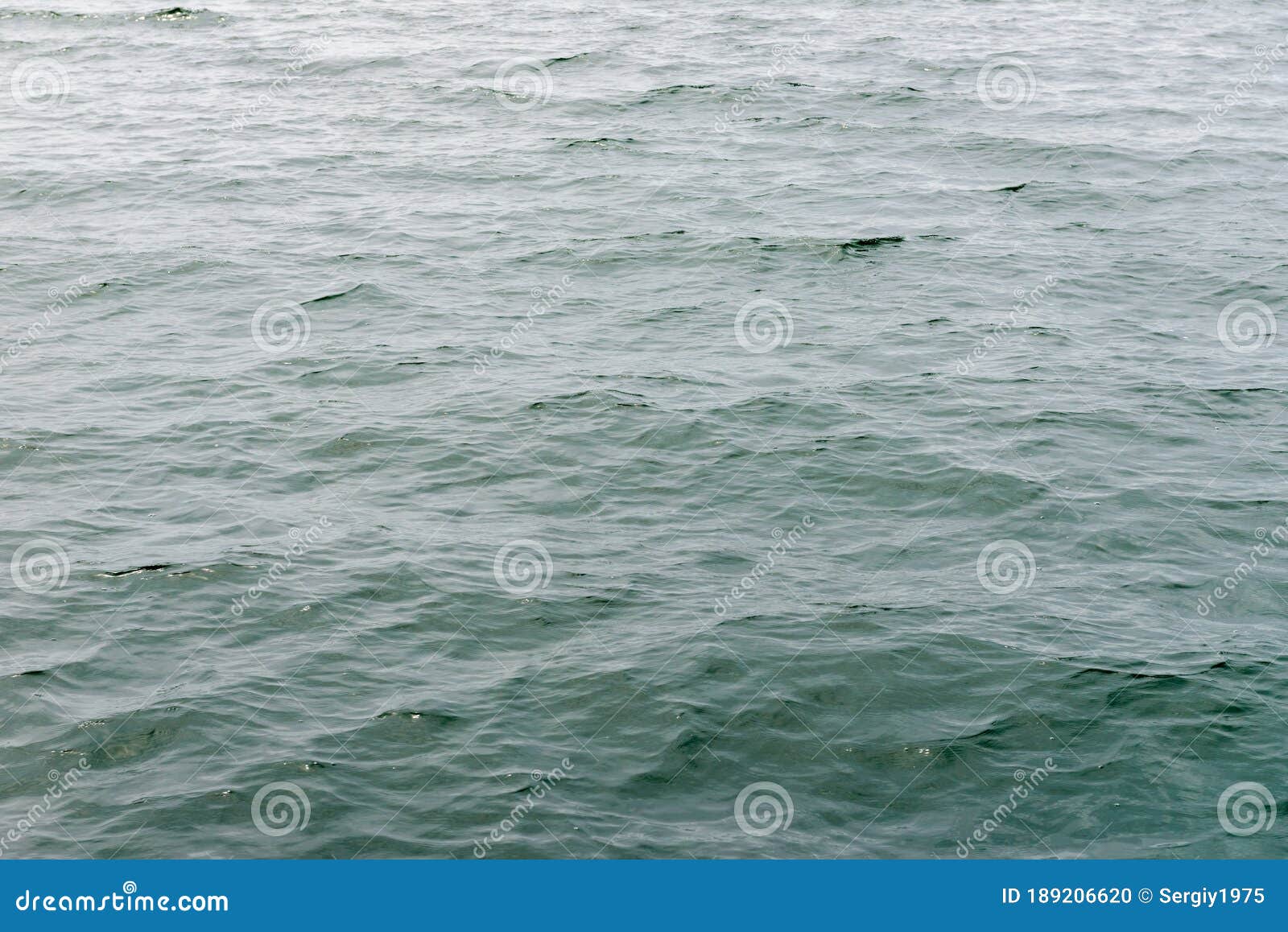 Water Ripples on the Surface of the Sea Stock Photo - Image of blue ...