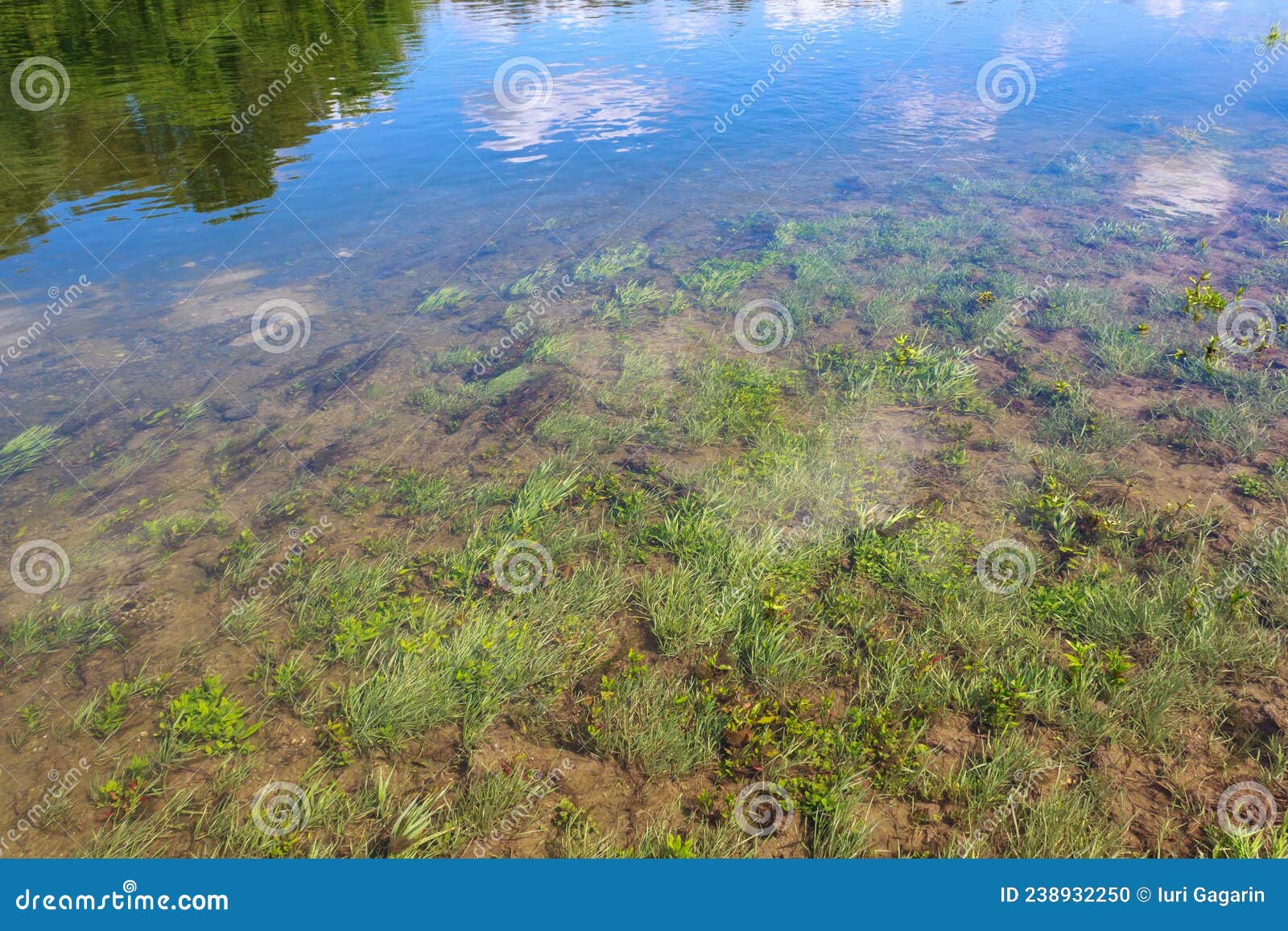 Water on the River Bank. Background with Copy Space or Backdrop Stock ...