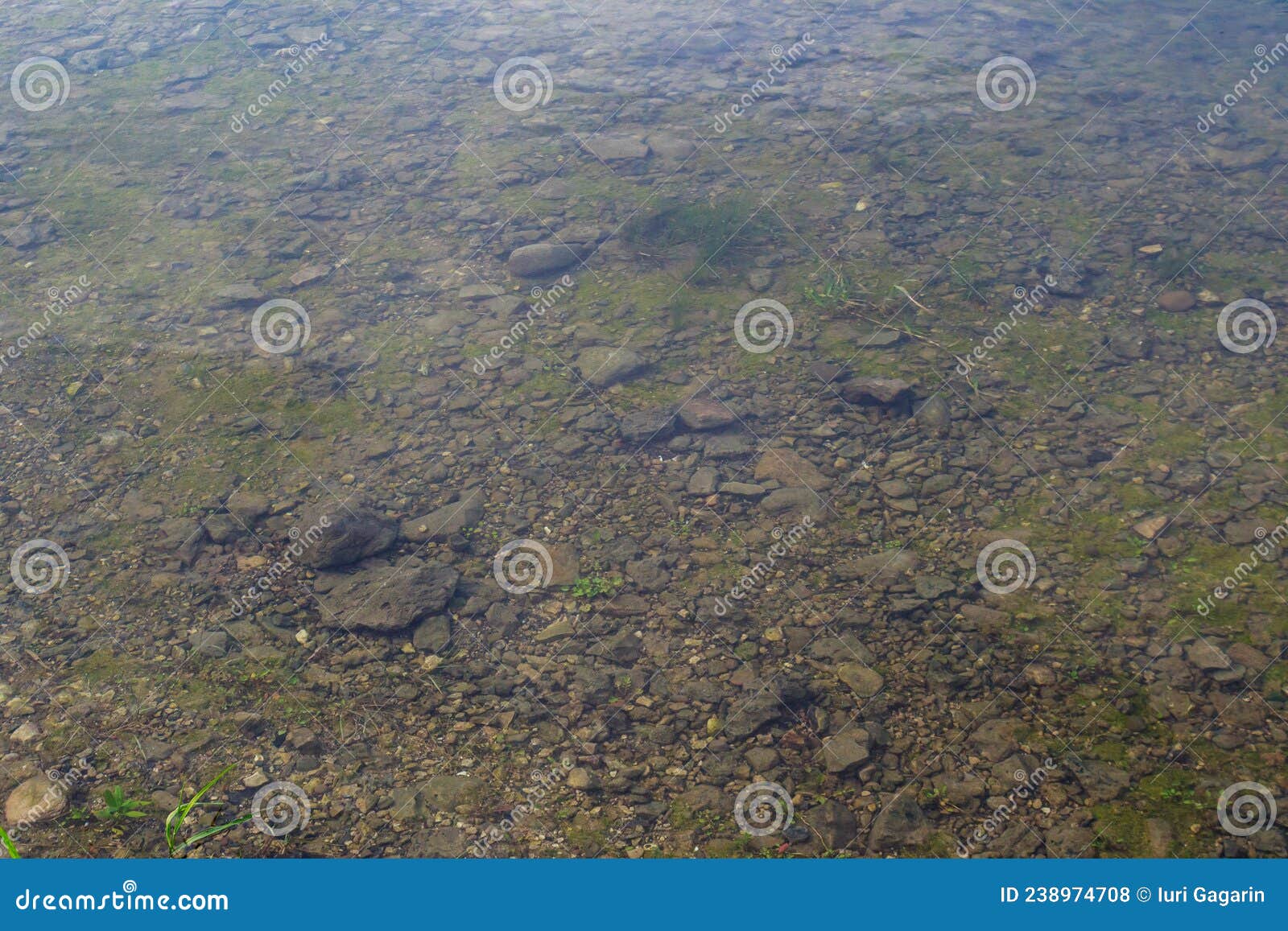 Water on the River Bank. Background with Copy Space or Backdrop Stock ...