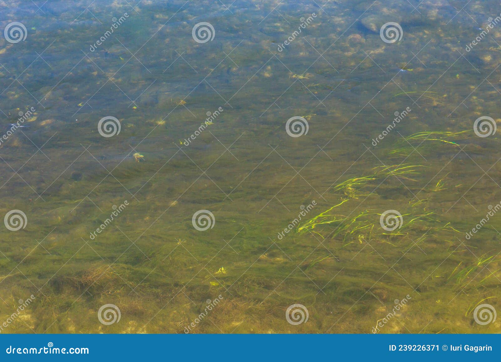 Water on the River Bank. Background with Copy Space or Backdrop Stock ...