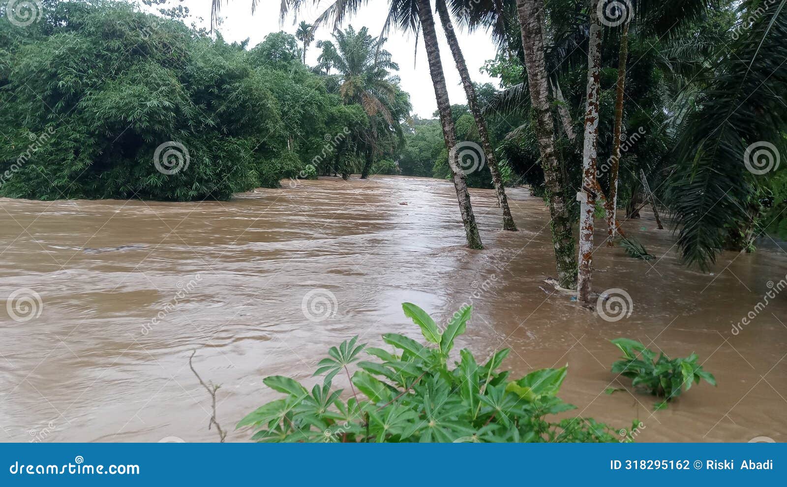 Water river flood stock photo. Image of rivers, causing - 318295162
