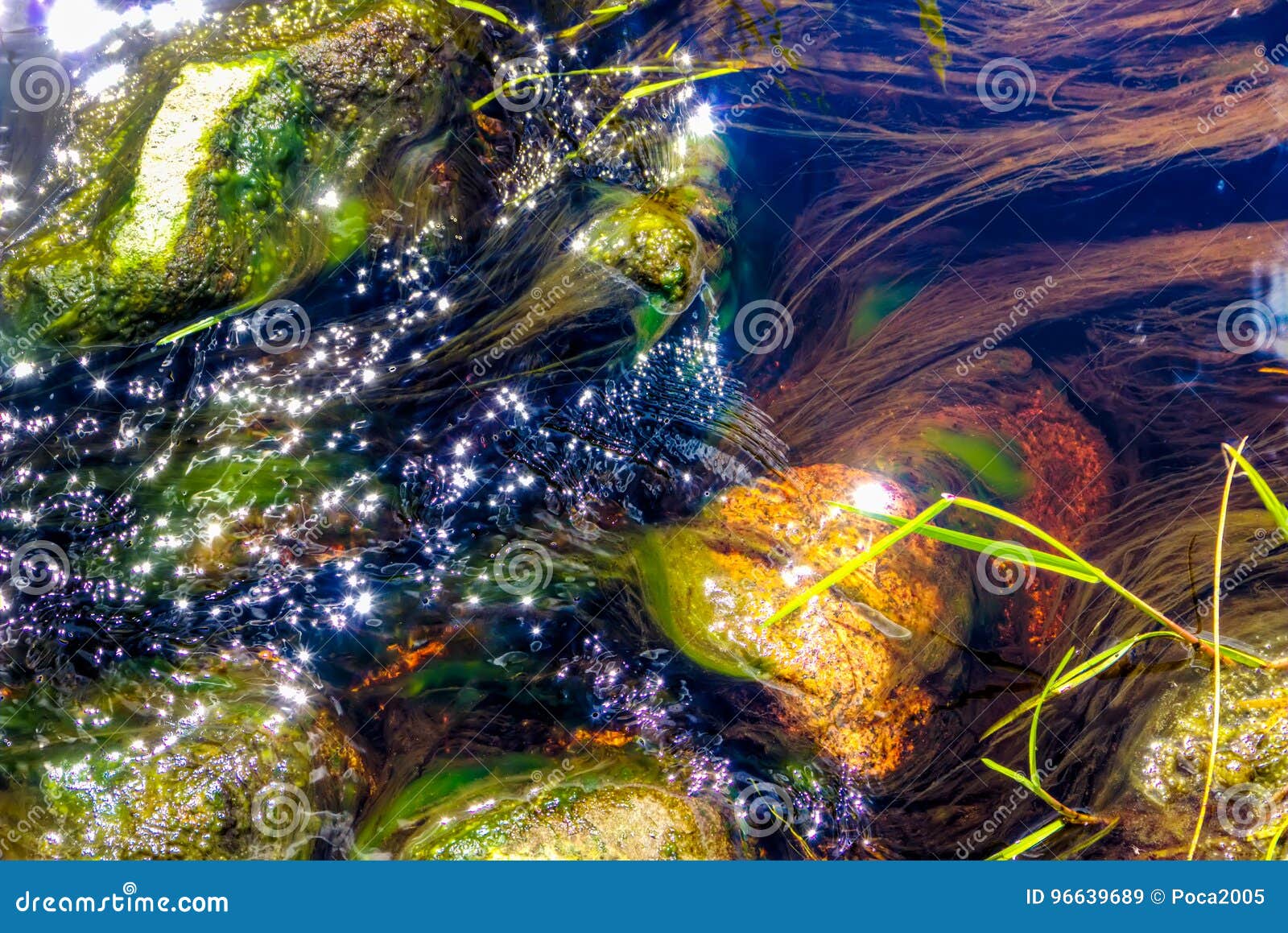 Water River Flowing Over Rocks Red Algae Stock Image - Image of ...