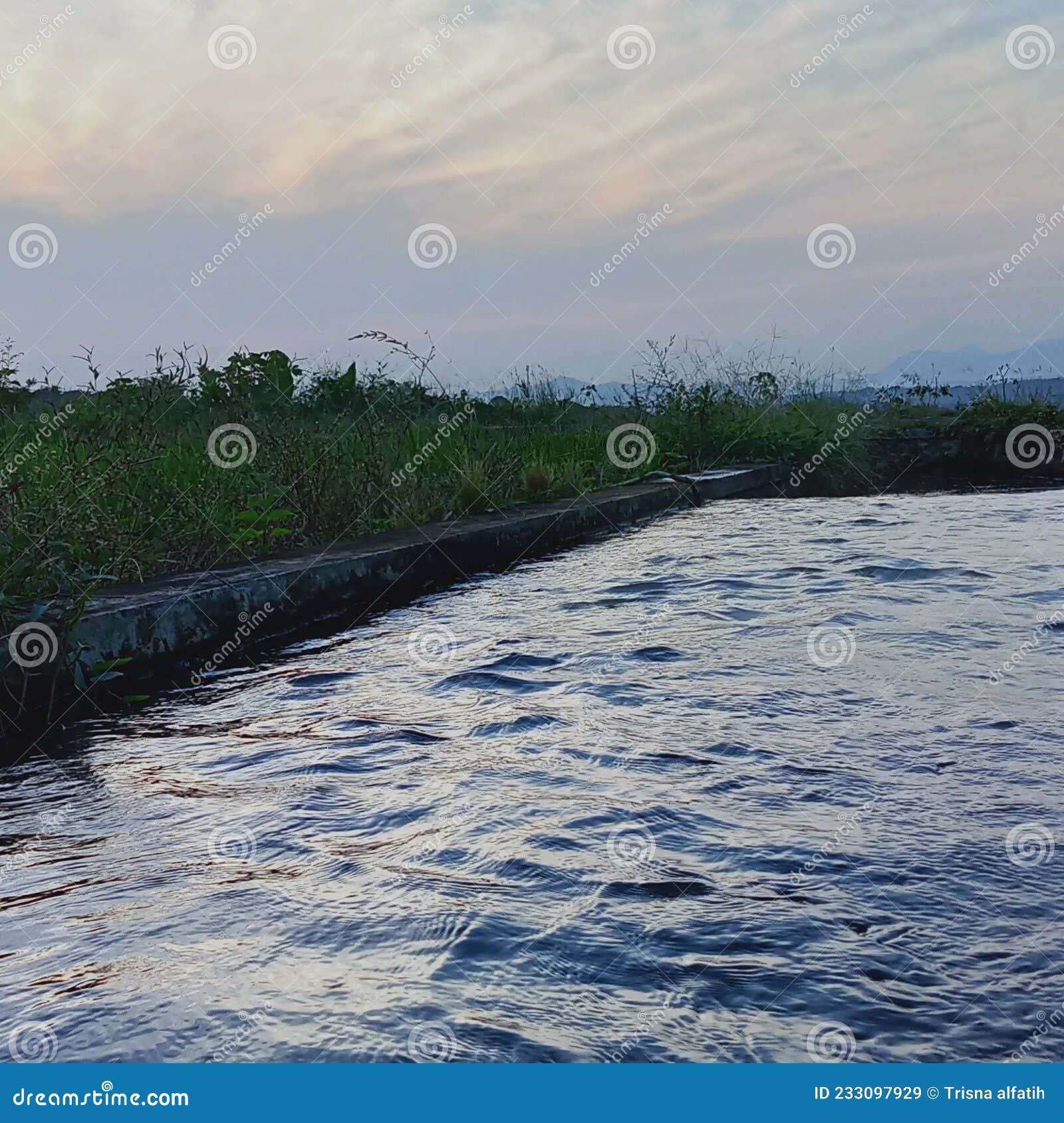 Water River Grass and River Stock Image - Image of river, grass: 233097929